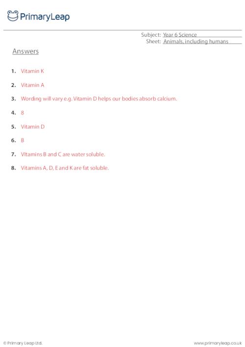 Science: Vitamins | Worksheet | PrimaryLeap.co.uk