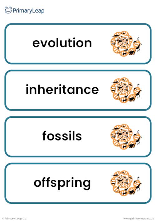 Science: Y6 Light vocabulary cards | Worksheet | PrimaryLeap.co.uk