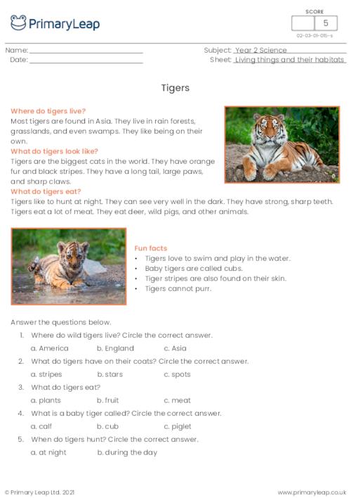 Science: Leopards comprehension | Worksheet | PrimaryLeap.co.uk