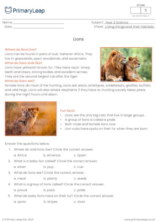 Science: Lions comprehension | Worksheet | PrimaryLeap.co.uk