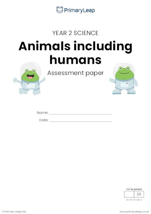 Science: Y2 Animals, including humans assessment | Worksheet ...