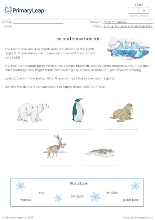 Science: Characteristics of living things | Worksheet | PrimaryLeap.co.uk