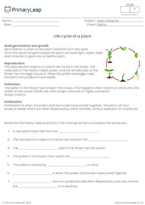 Science: Seeds and bulbs | Worksheet | PrimaryLeap.co.uk