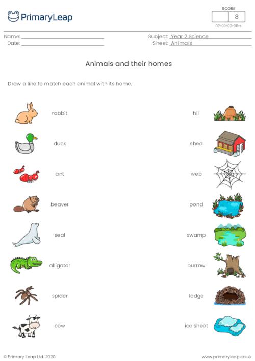 Science: Characteristics of living things | Worksheet | PrimaryLeap.co.uk