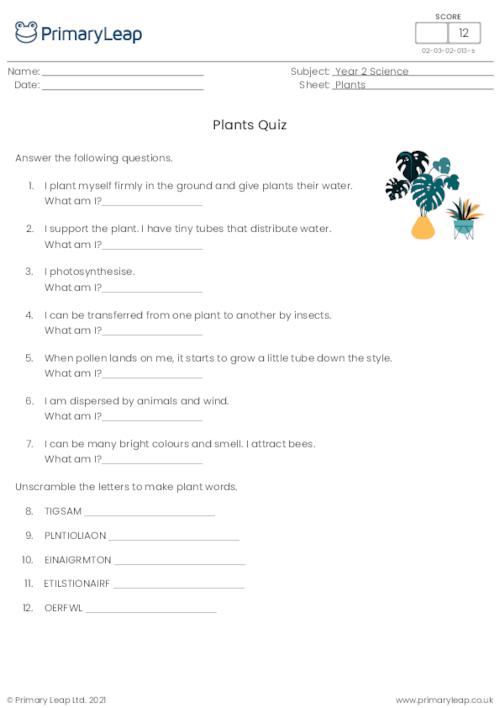 Science: Which foods come from plants? | Worksheet | PrimaryLeap.co.uk