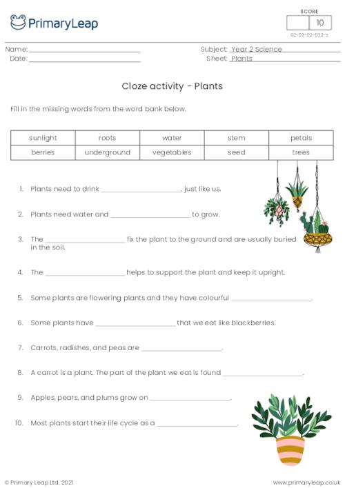 Science: Which foods come from plants? | Worksheet | PrimaryLeap.co.uk
