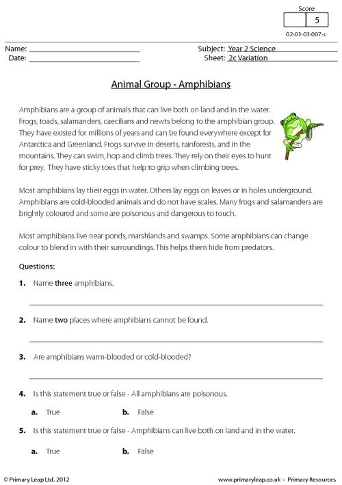 Science: Leopards comprehension | Worksheet | PrimaryLeap.co.uk