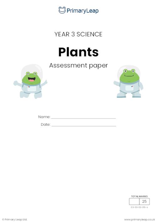Science: Y3 Light assessment | Worksheet | PrimaryLeap.co.uk