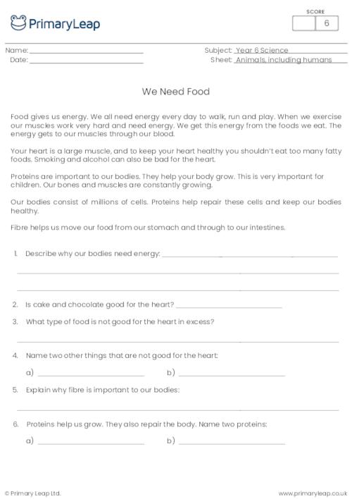 Science: Vitamins | Worksheet | PrimaryLeap.co.uk