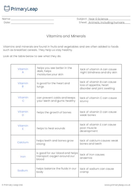 Science: Vitamins | Worksheet | PrimaryLeap.co.uk