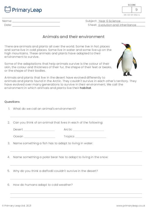Science: Human evolution | Worksheet | PrimaryLeap.co.uk