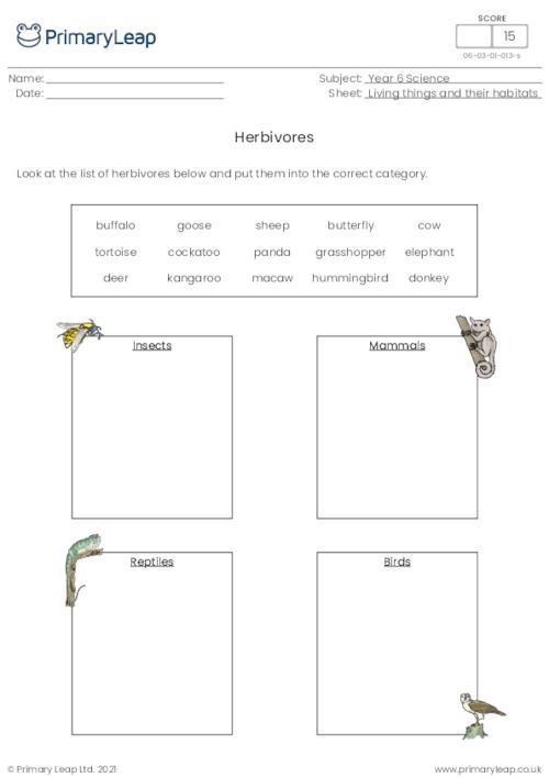 Science: Different types of microorganisms | Worksheet | PrimaryLeap.co.uk