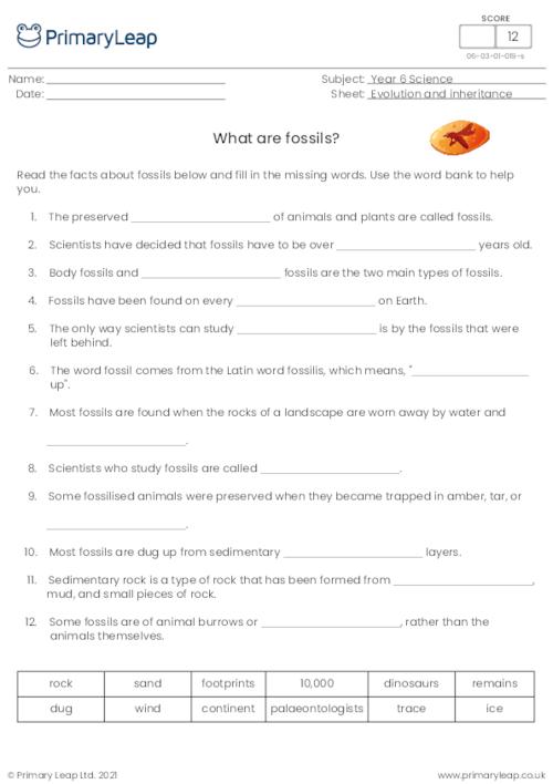 Science: Human evolution | Worksheet | PrimaryLeap.co.uk