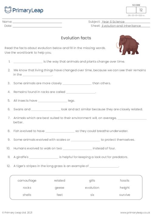 Science: Human evolution | Worksheet | PrimaryLeap.co.uk