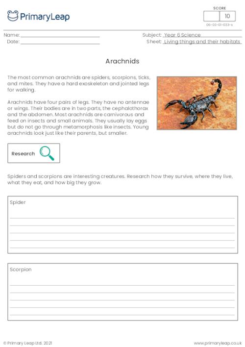 Science: Deep sea wildlife reading comprehension | Worksheet ...