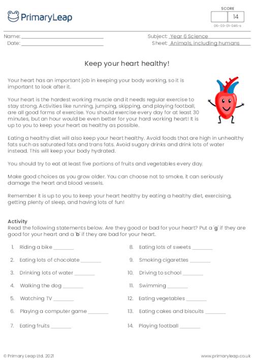 Science: Vitamins | Worksheet | PrimaryLeap.co.uk