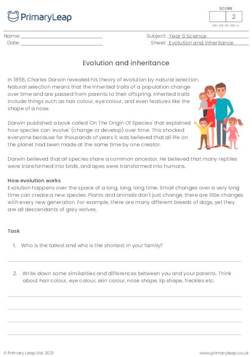 Science: Human evolution | Worksheet | PrimaryLeap.co.uk