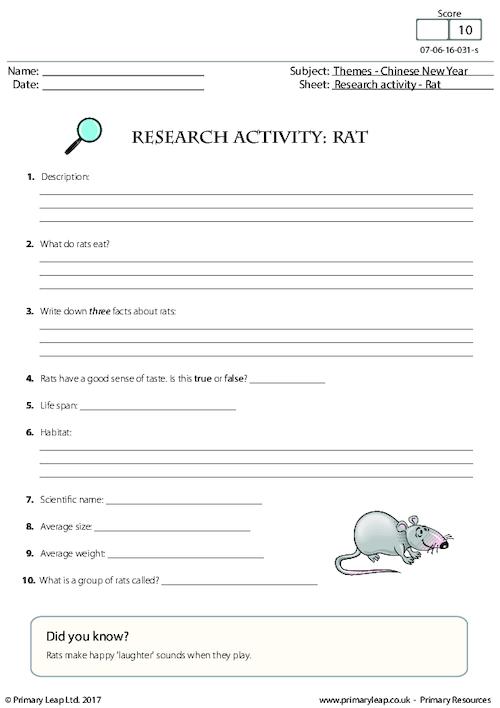 Science: Research Activity Rat | Worksheet | PrimaryLeap.co.uk