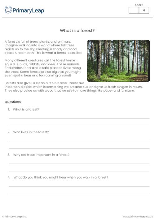 Geography: What is a Mountain? Reading Comprehension Activity ...