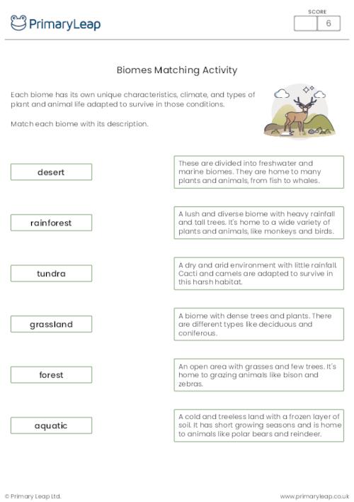 Year 5 Printable Resources & Free Worksheets for Kids | PrimaryLeap.co.uk